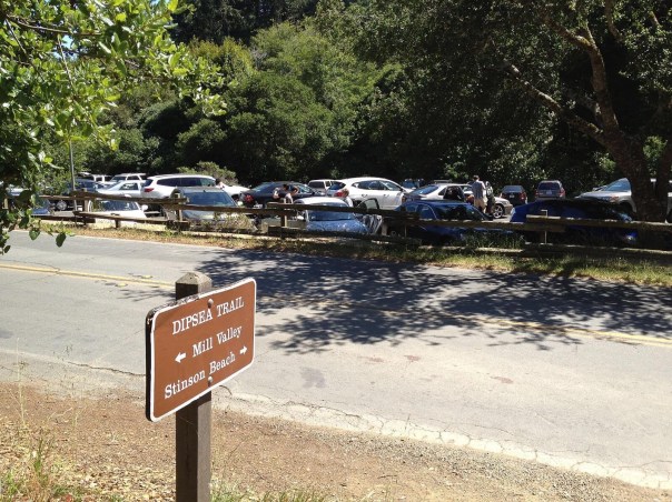 Save Druid Heights | Working to preserve a beautiful and historic place